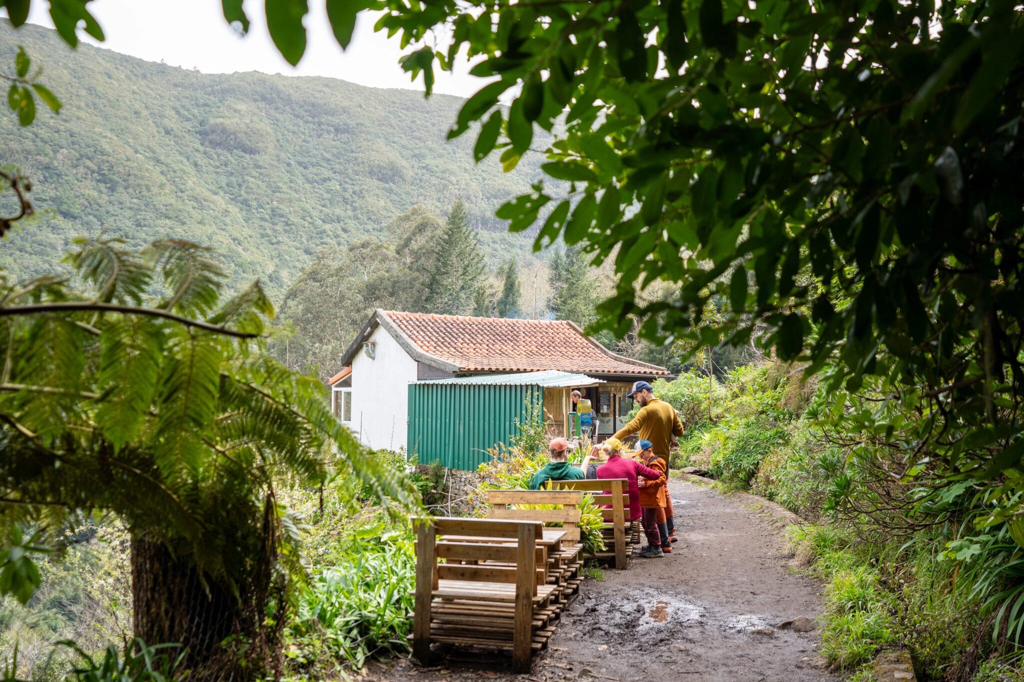 10 Days in Madeira Portugal: Incredible Road Trip Itinerary